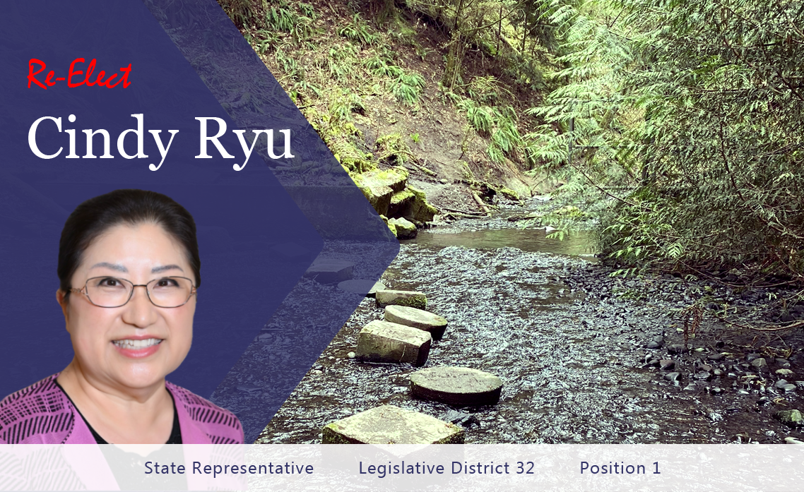 About Cindy – Cindy Ryu for State Representative